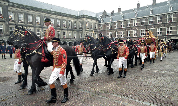 Friese paarden gaan Gouden Koets missen | Fryslan1