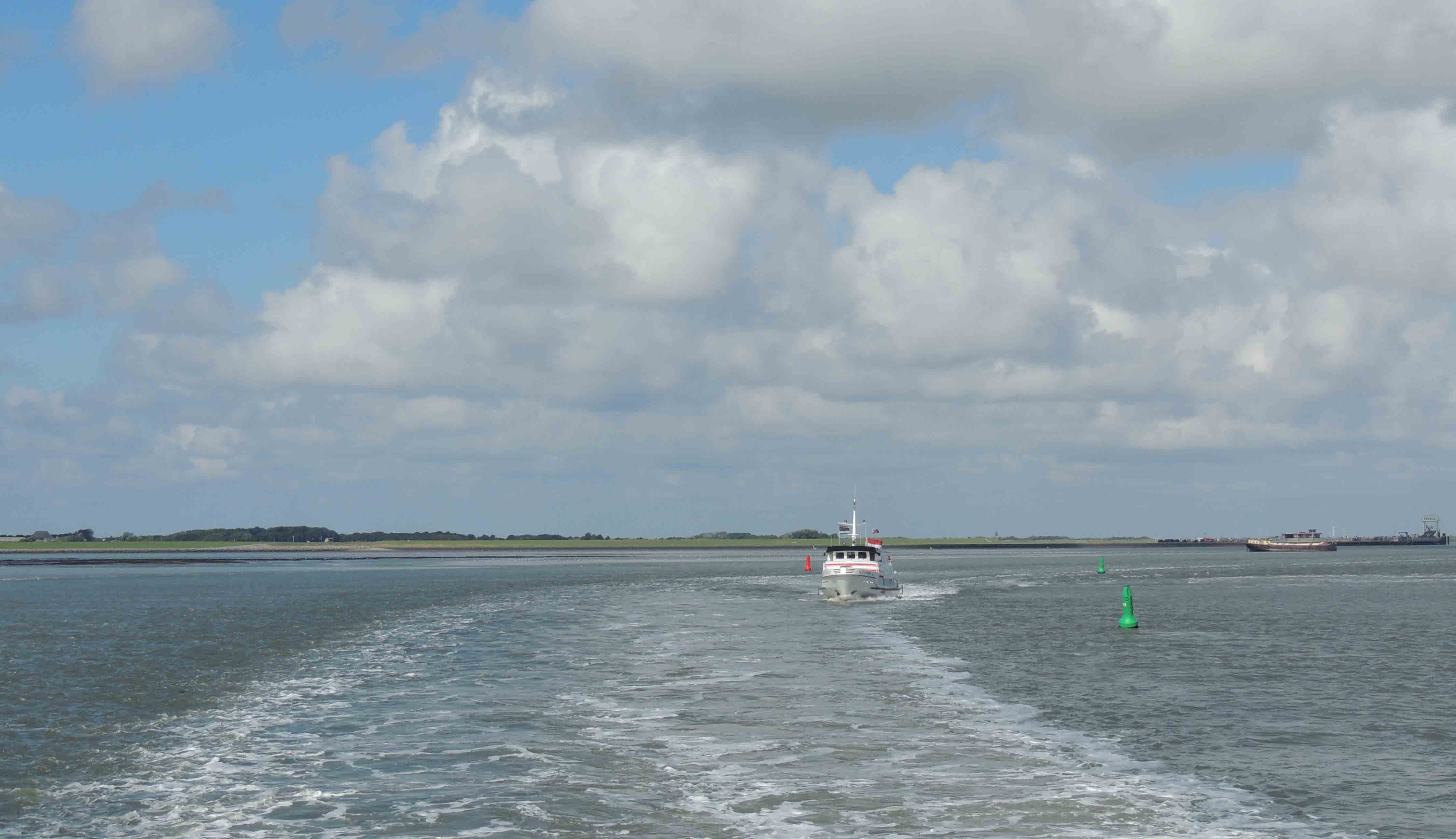 Han Olff: ’Voedselweb Waddenzee brokkelt af’ | Fryslan1